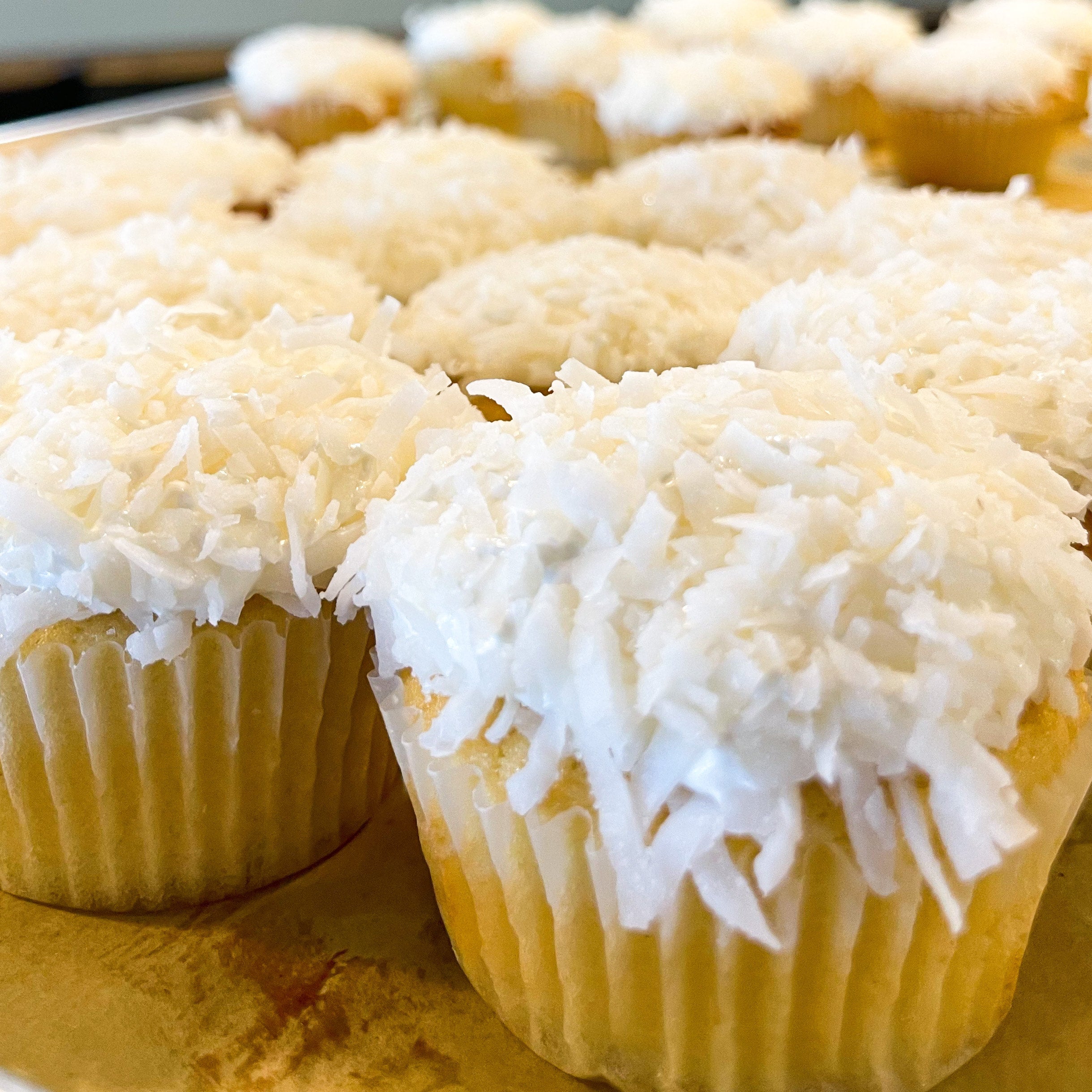 Coconut Lovers Dozen | The Sweet Shoppe of the South